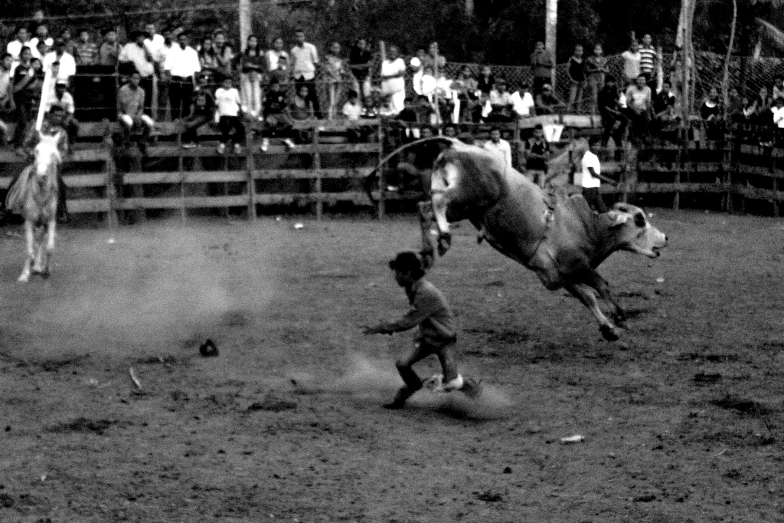 Hobart :: Lenore, 30 by Mark Daniel Taylor