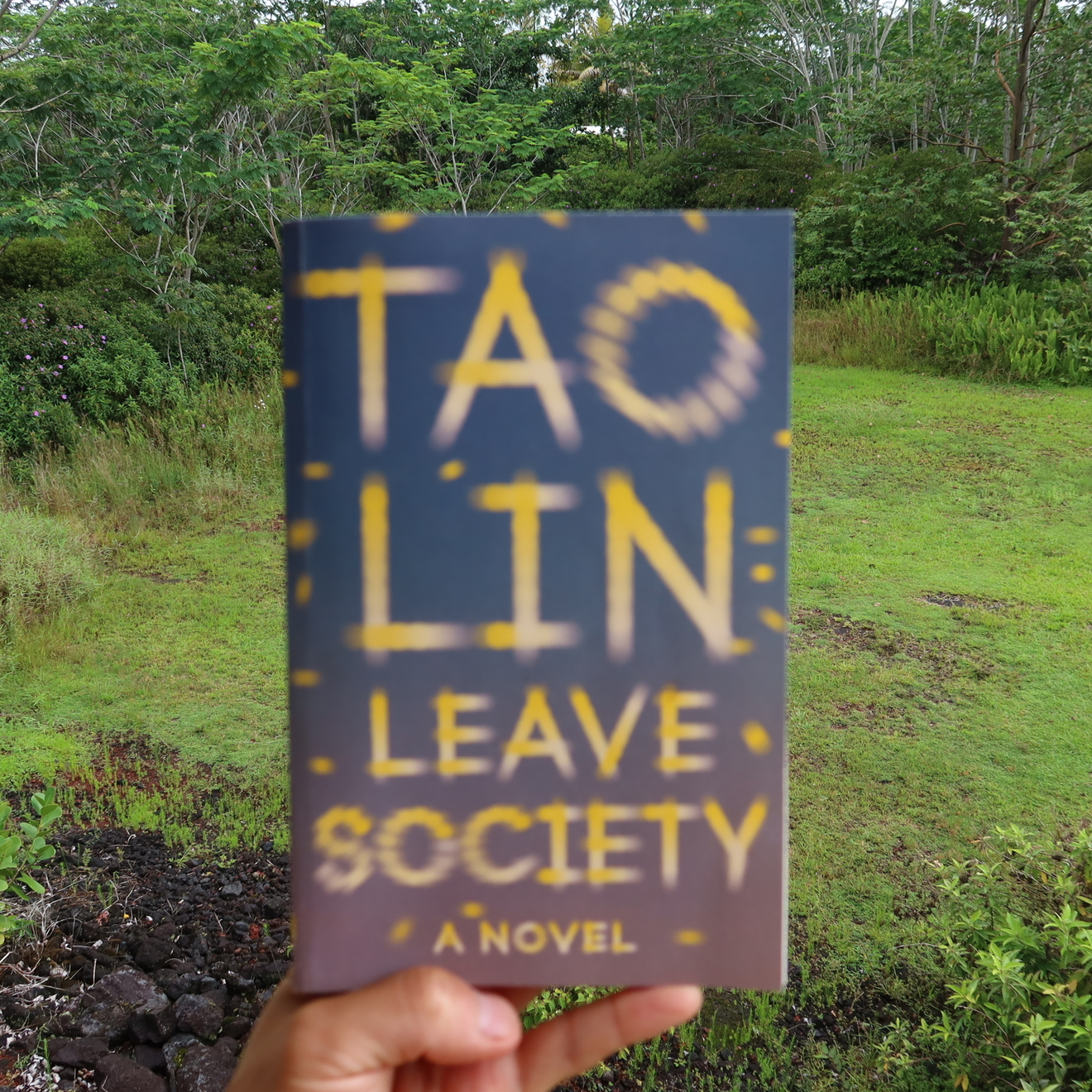 Hobart :: the novel as a kind of organism: an interview with Tao Lin by ...