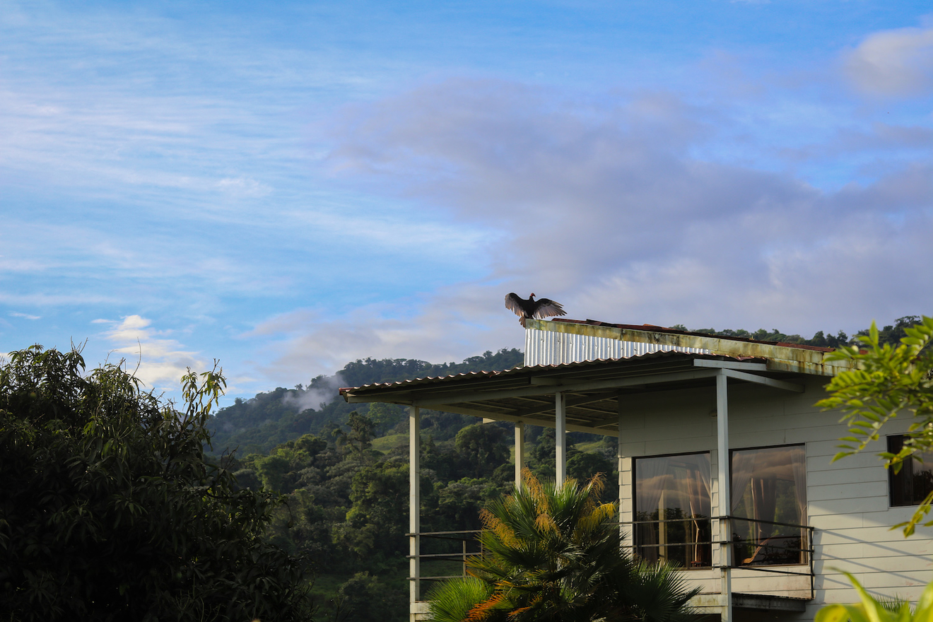 Hobart :: The Grandmas by Chelsie Bryant