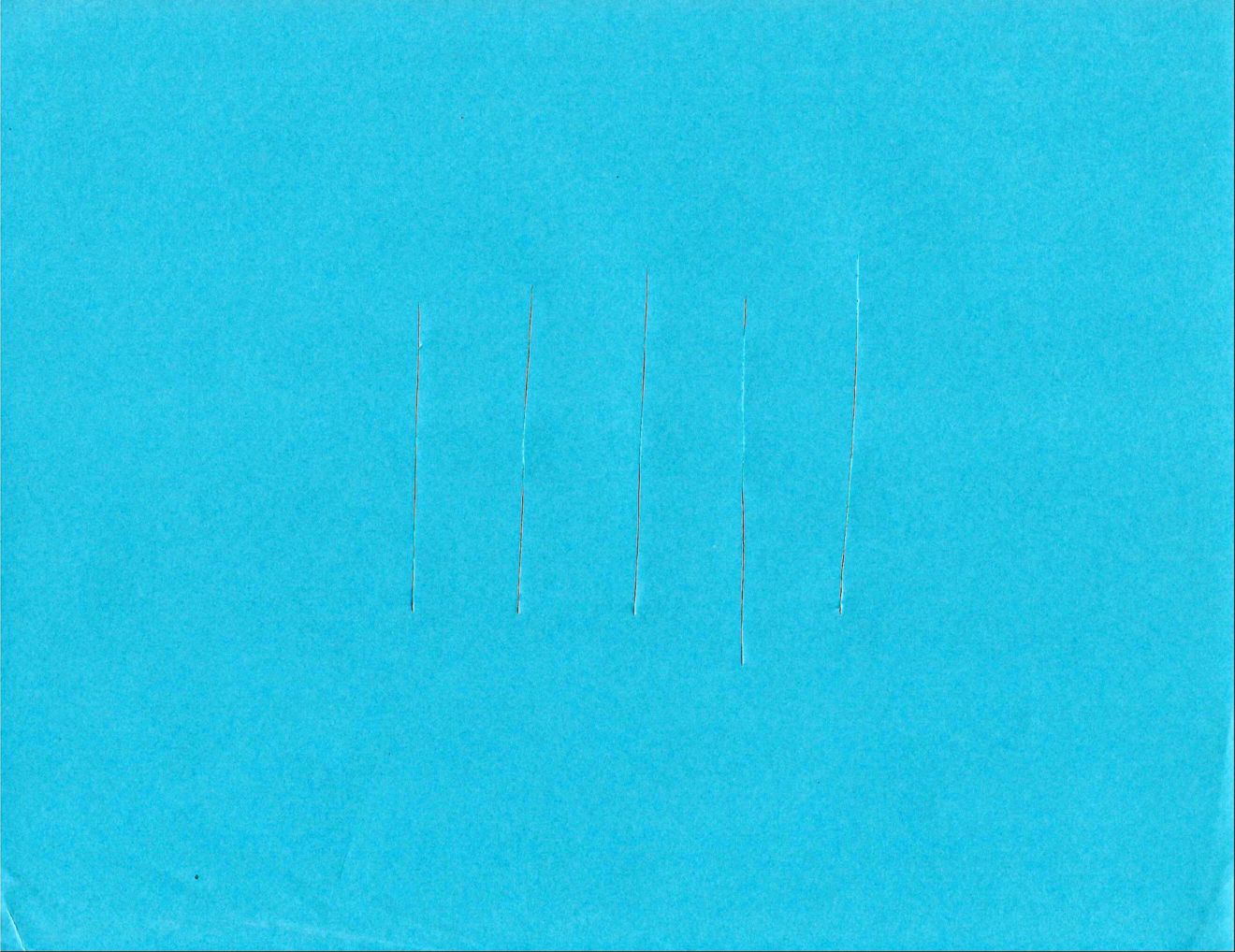 Hobart :: Carts by Daisy Alioto