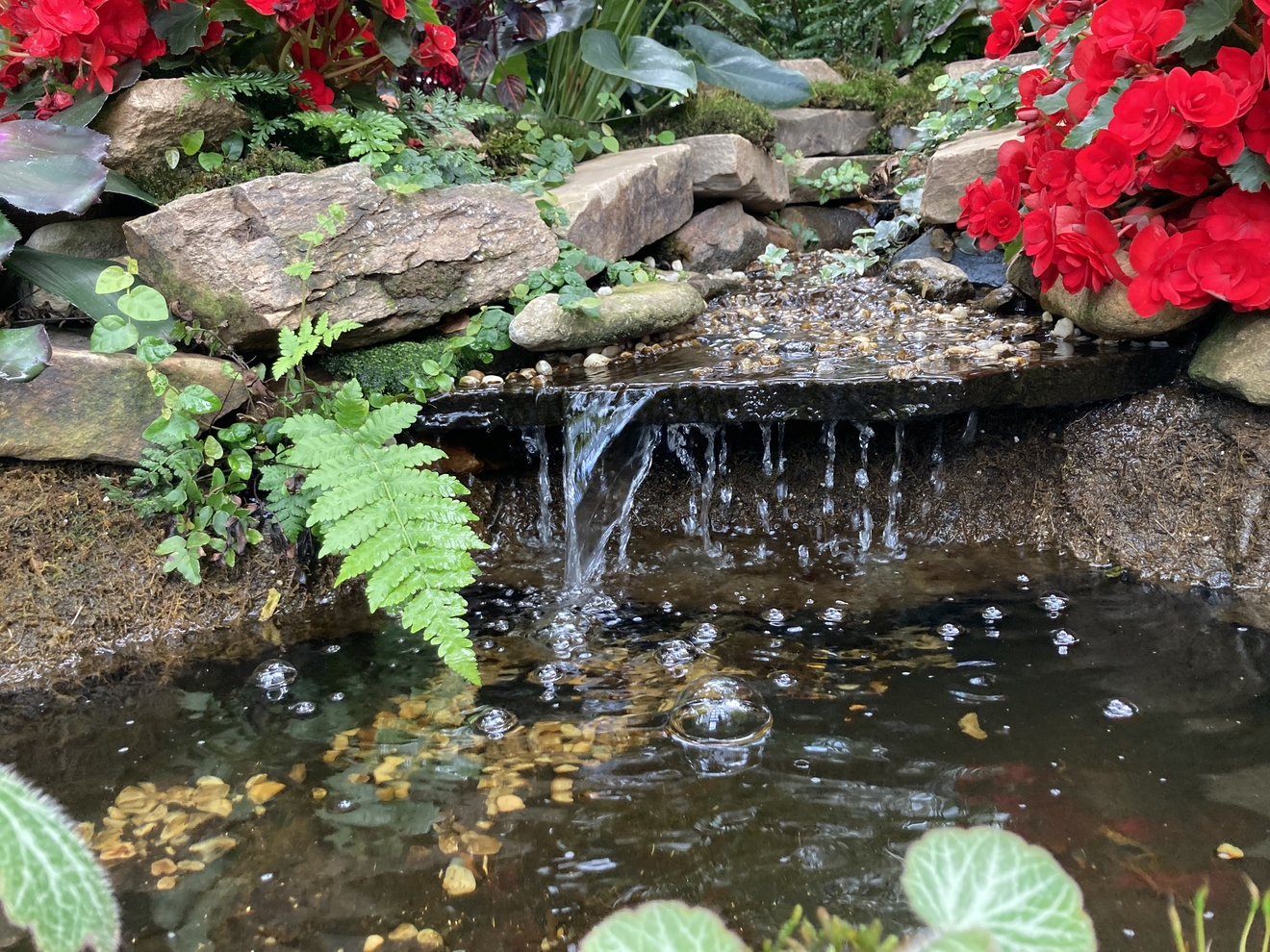 Hobart :: Love song as a cryptozoology by Eric Tyler Benick