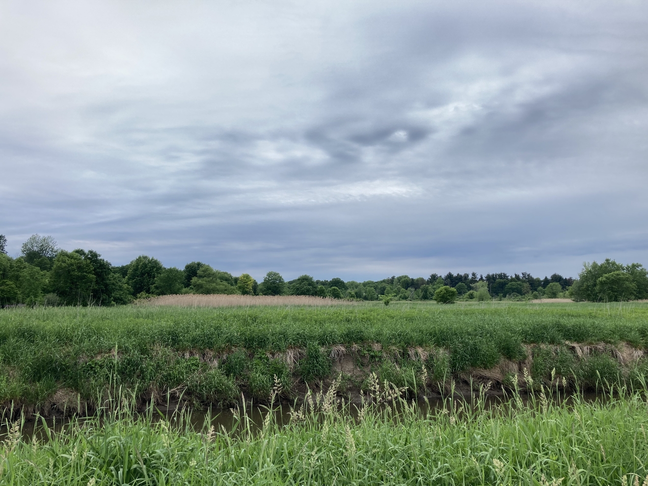 Hobart :: Two Poems by Rachel Cloud Adams