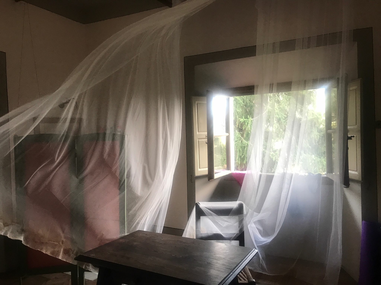 Hobart :: Opal, Opal by Marin Kosut