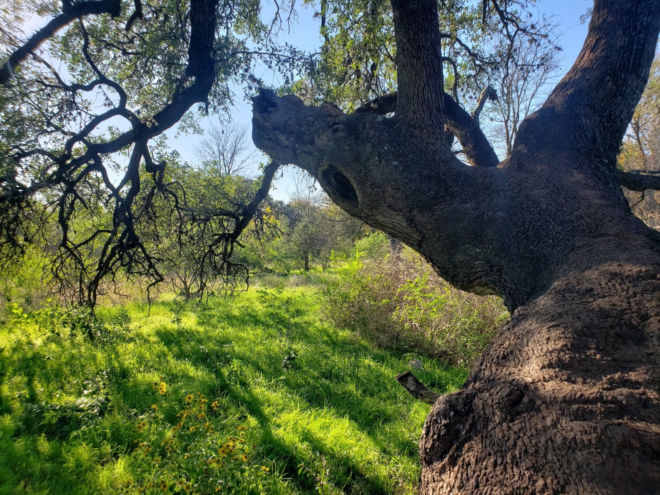 Hobart :: 3 Poems of the Old Testament by Stephanie Yue Duhem