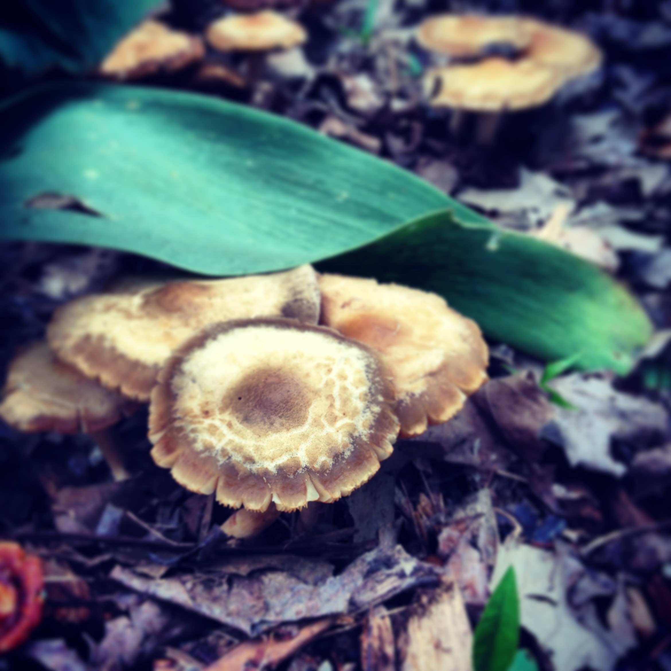 Hobart :: You Step Outside The Loud, Bright Party: An Interview with ...