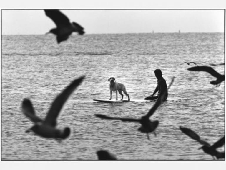 Elliott Erwitt Photography - Holden Luntz Gallery