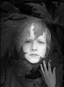 William Ropp - Holden Luntz Gallery