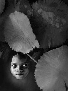 William Ropp - Holden Luntz Gallery