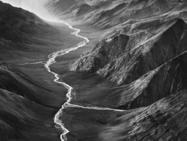 Sebastião Salgado - Holden Luntz Gallery