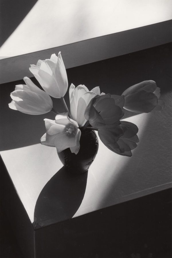Simple Pleasures: The Language of Flowers - Holden Luntz Gallery