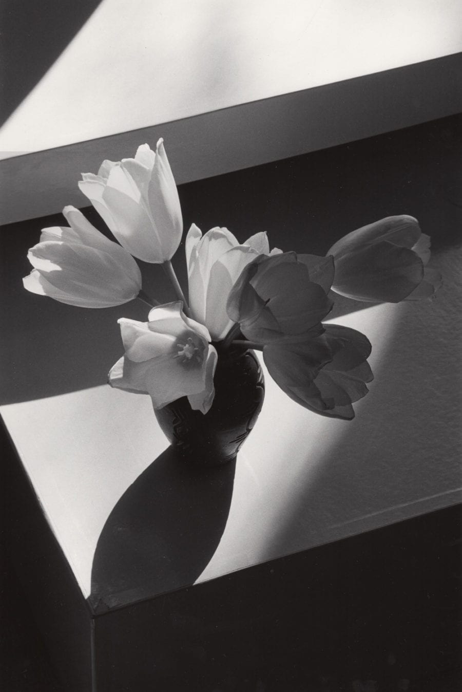 Simple Pleasures: The Language of Flowers - Holden Luntz Gallery