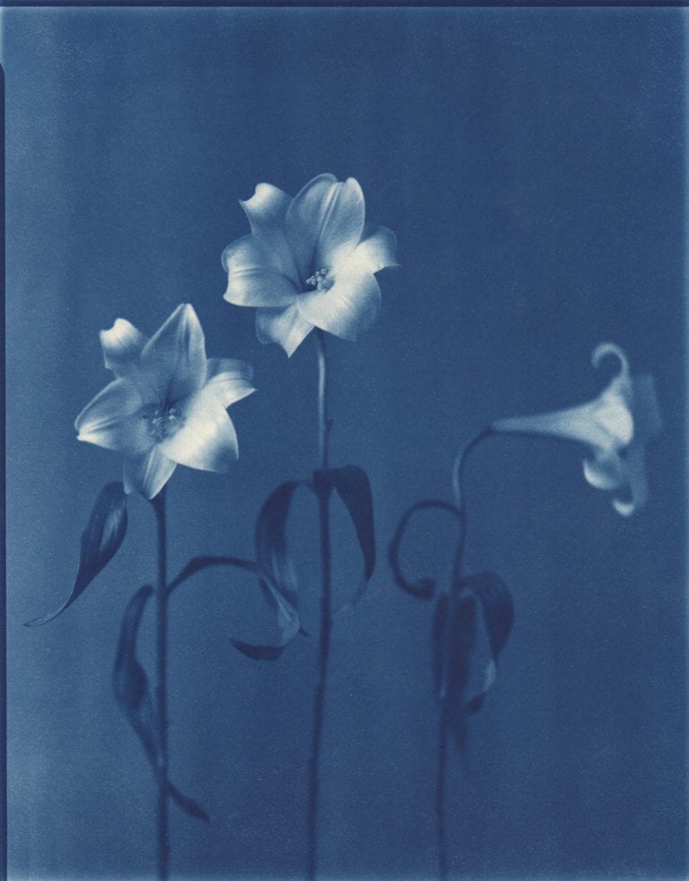 Holden Luntz Gallery - John Dugdale: The Mind's Eye
