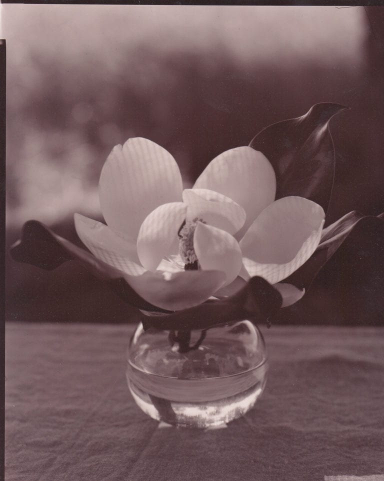 Dialogues With Great Photographers - John Dugdale - Holden Luntz Gallery