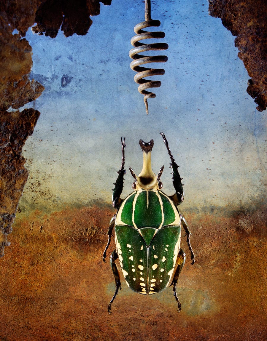 Dialogues With Great Photographers - Jo Whaley - Holden Luntz Gallery