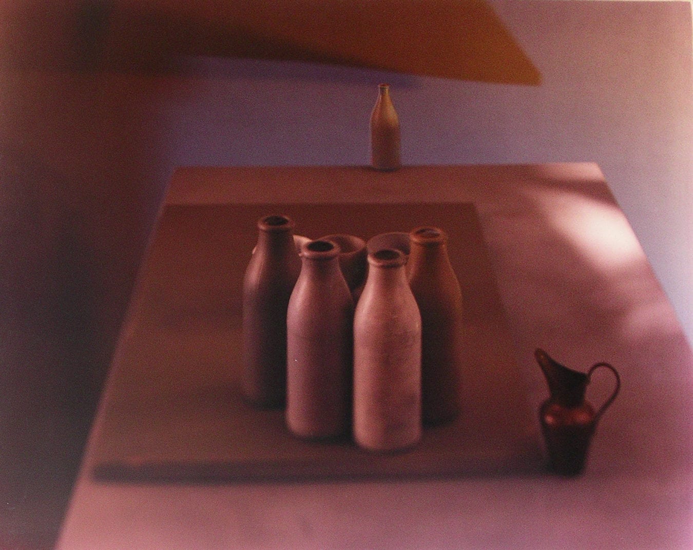 Jan Groover | Holden Luntz Gallery