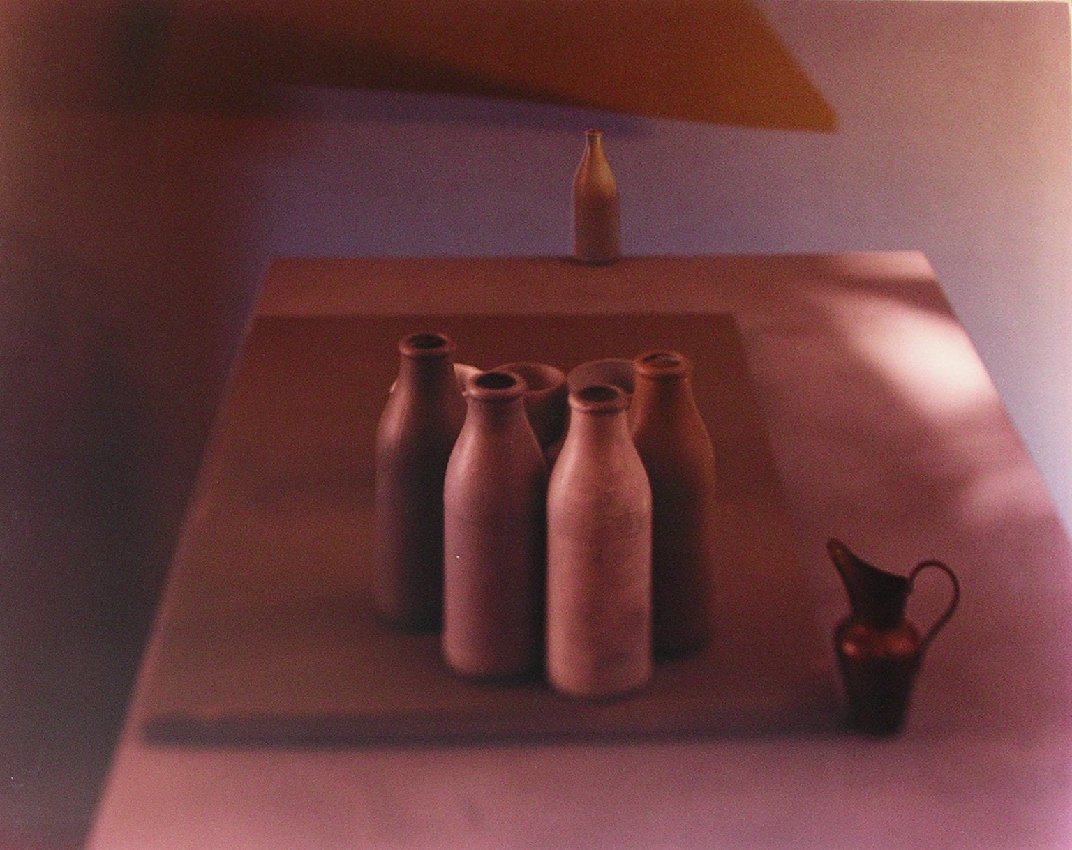 Jan Groover | Holden Luntz Gallery