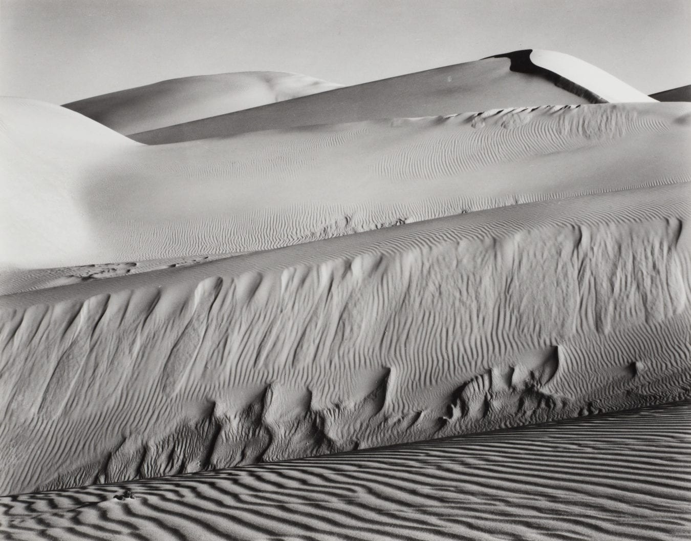 Edward Weston | Holden Luntz Gallery