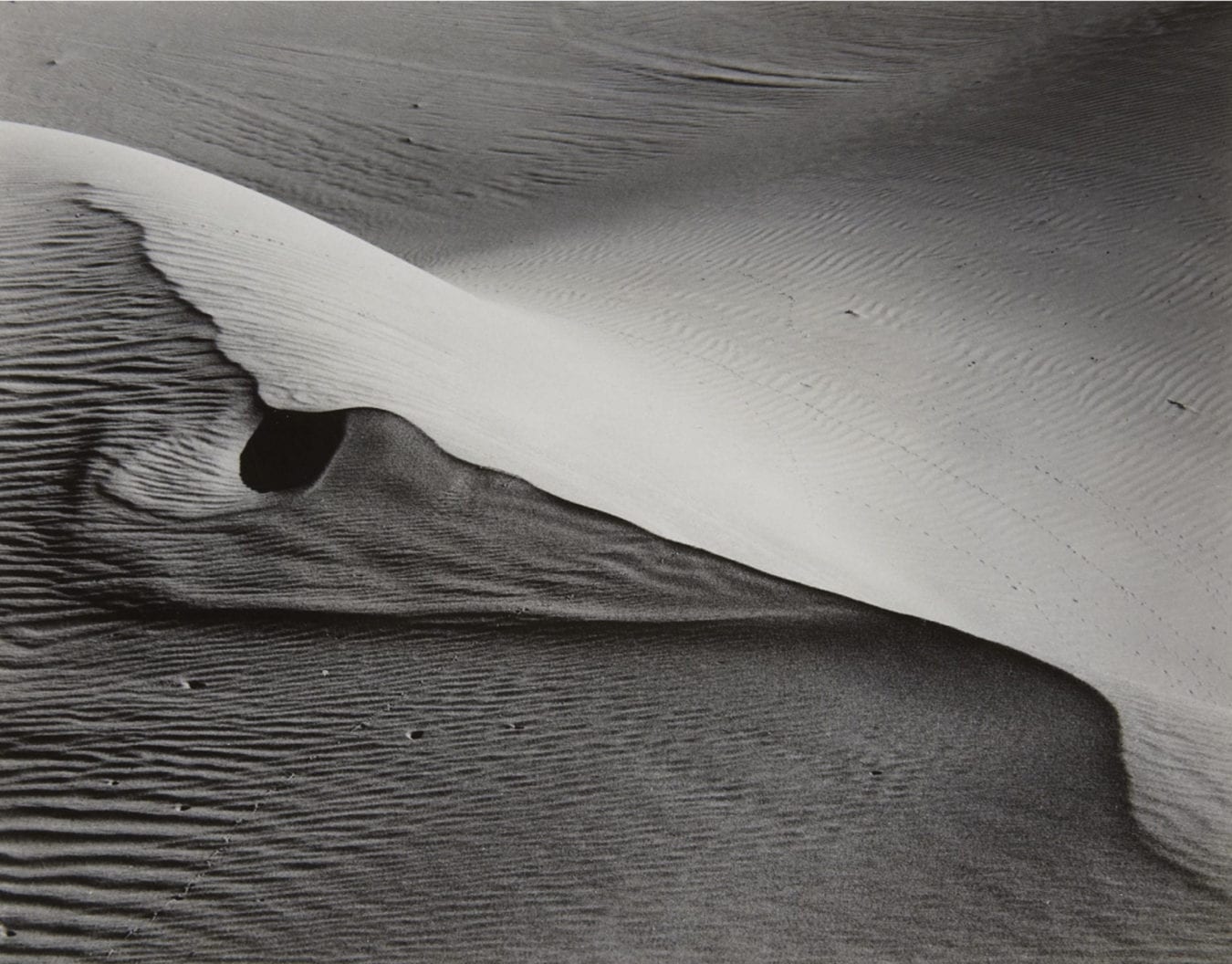 Edward Weston Holden Luntz Gallery