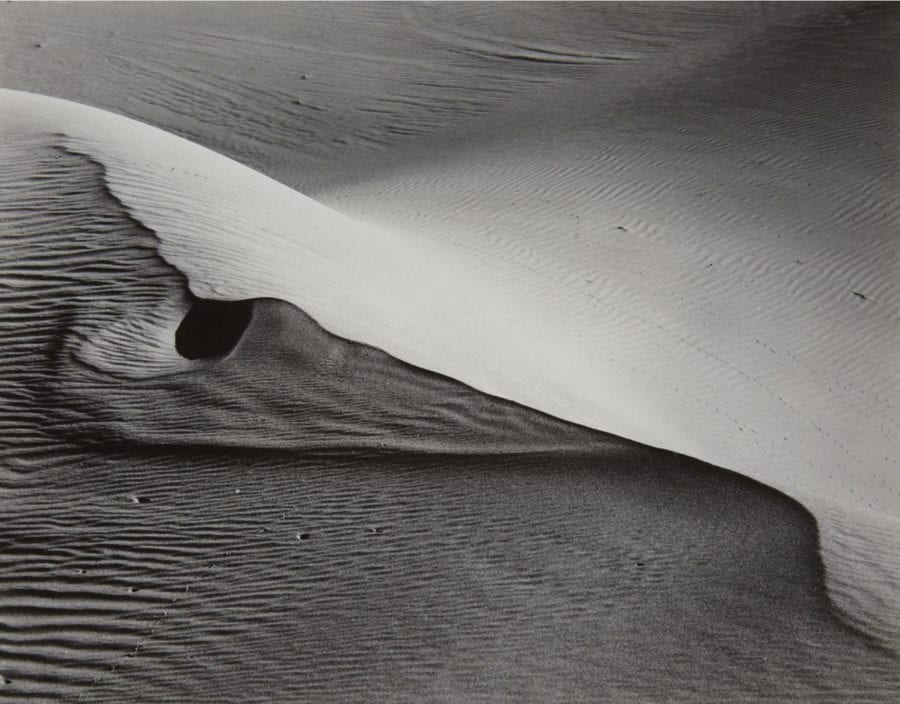 Edward Weston | Holden Luntz Gallery
