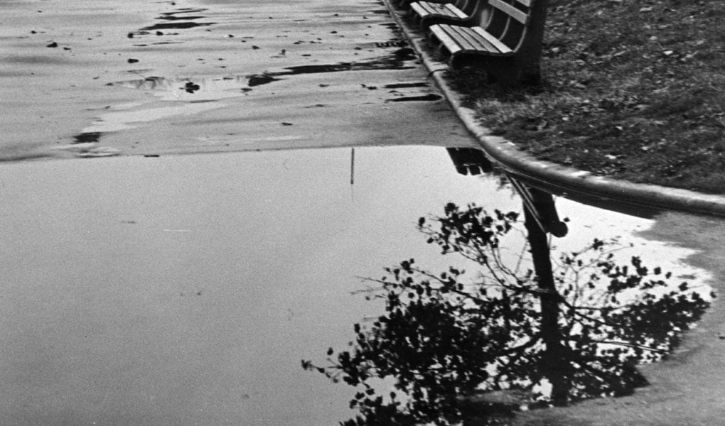 André Kertész's Satiric Dancer - Holden Luntz Gallery