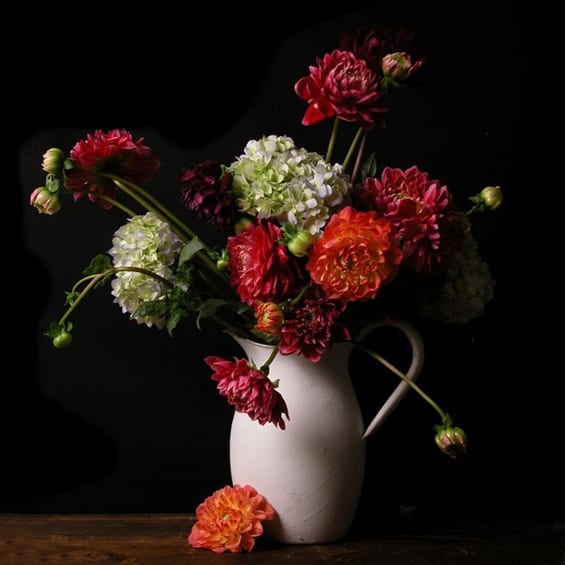 Brian Riley Photography - Holden Luntz Gallery