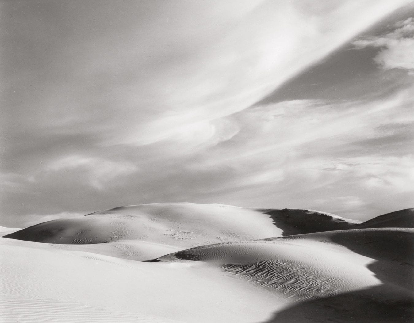 Edward Weston Photography - Holden Luntz Gallery