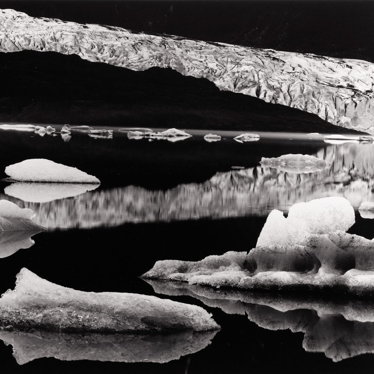 Brett Weston Photography - Holden Luntz Gallery