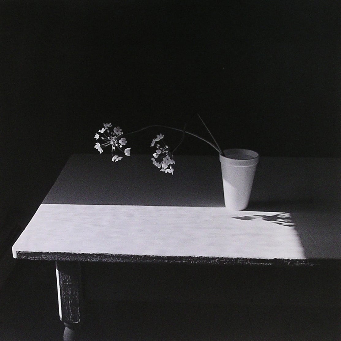 Lilo Raymond Photography - Holden Luntz Gallery