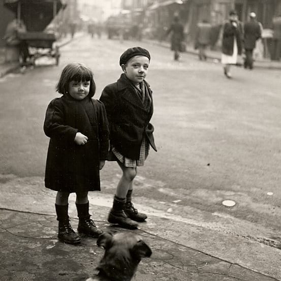 Martin J Dain Photography - Holden Luntz Gallery