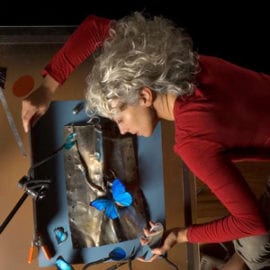 Dialogues With Great Photographers - Jo Whaley - Holden Luntz Gallery