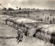 Manyatta Constructed by Masai Near Narok, Kenya - Holden Luntz Gallery