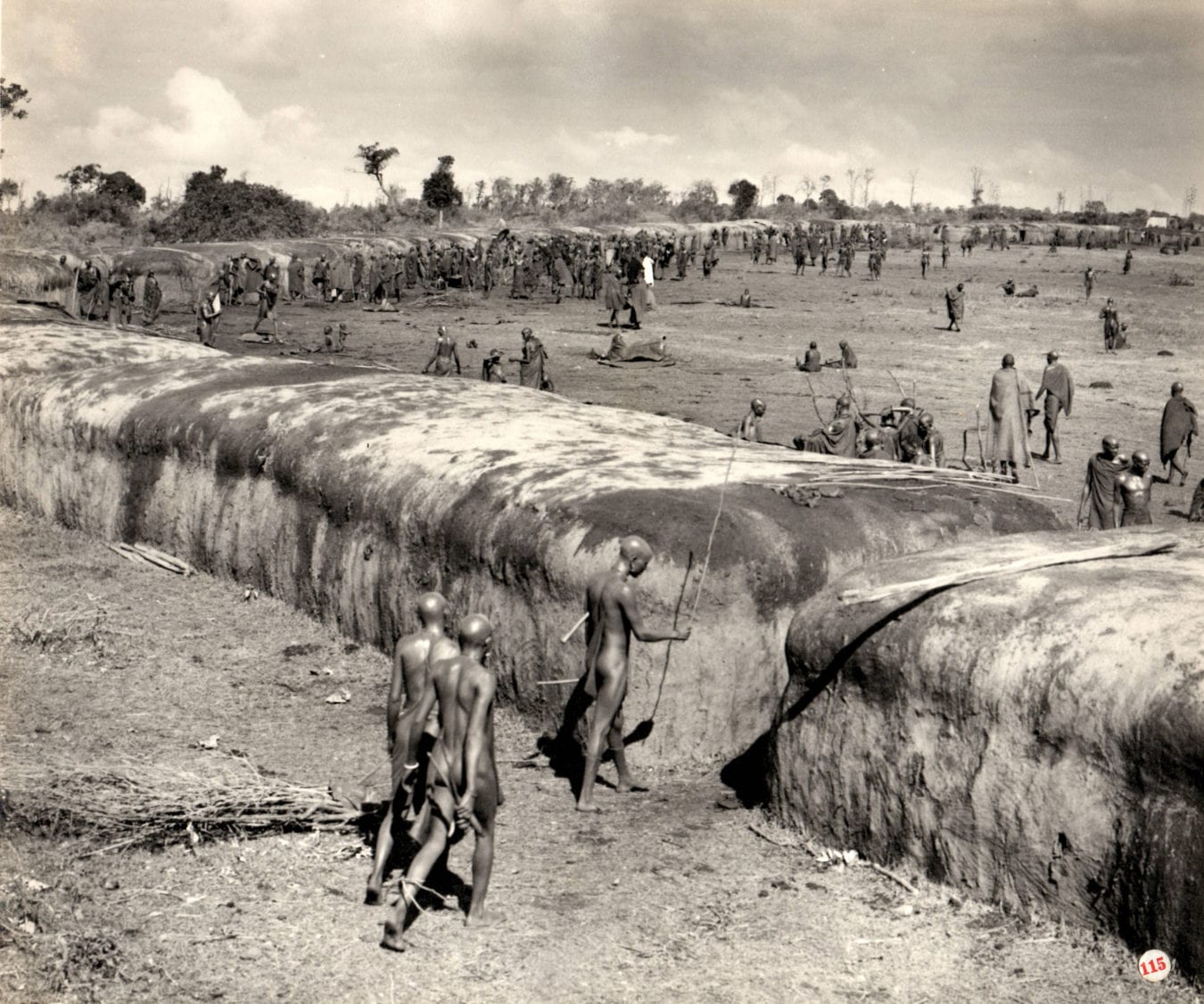 Manyatta Constructed by Masai Near Narok, Kenya - Holden Luntz Gallery