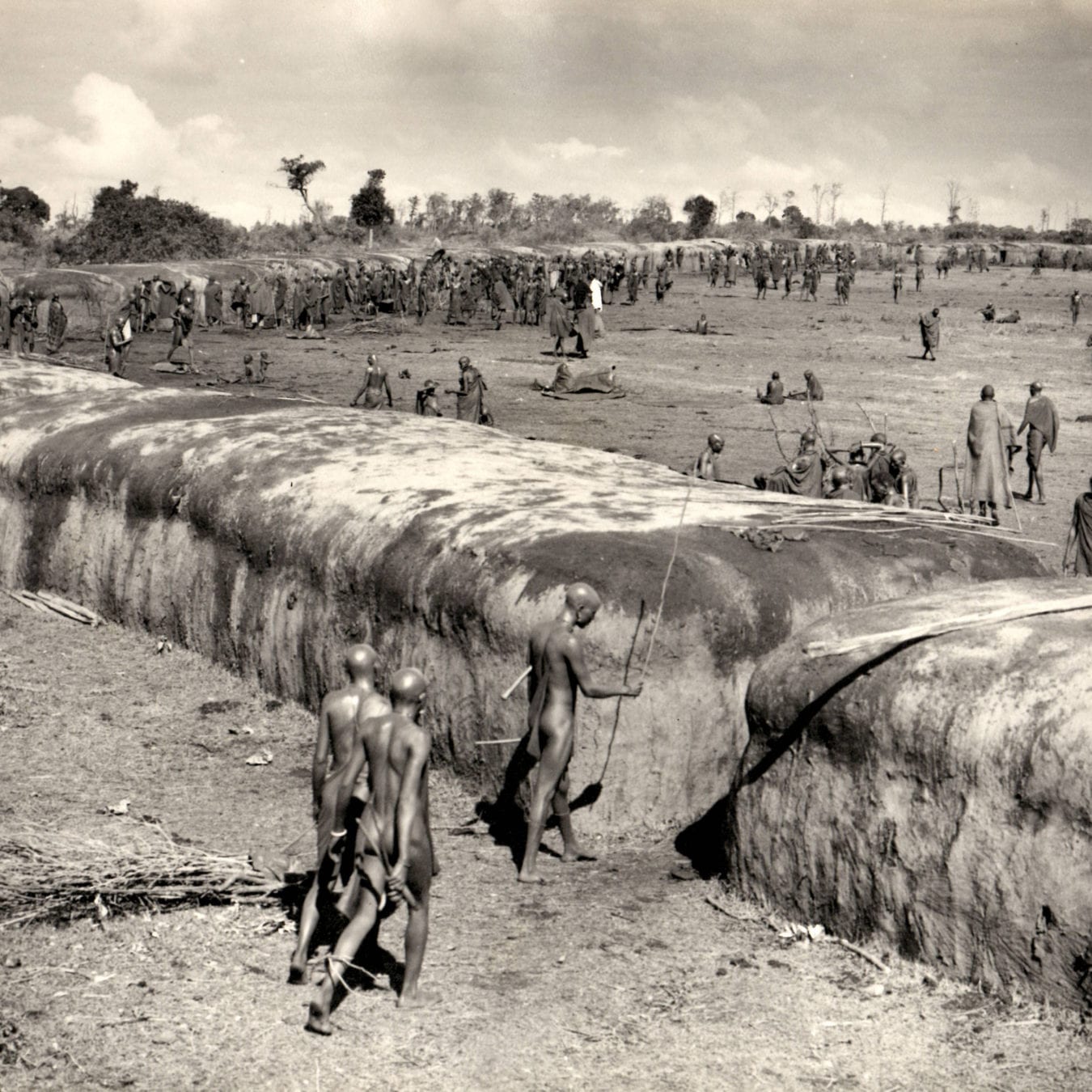Manyatta Constructed by Masai Near Narok, Kenya - Holden Luntz Gallery
