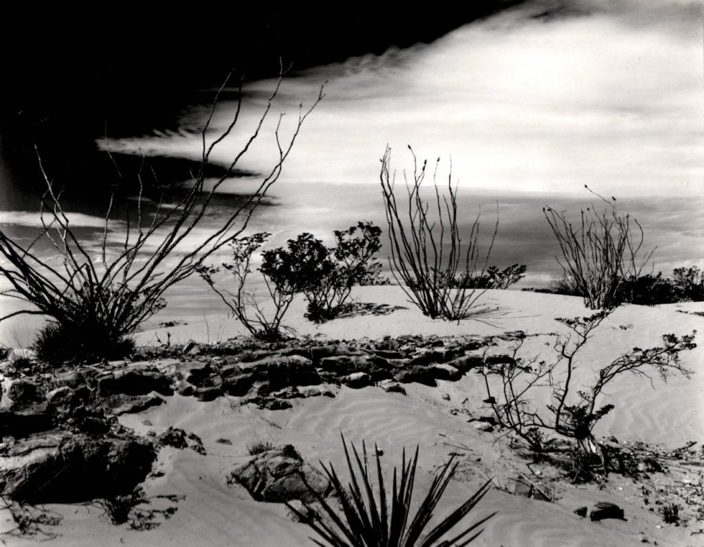 Brett Weston Photography - Holden Luntz Gallery