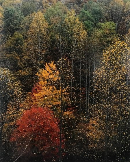 Simple Pleasures: Fall into the Warm Embrace of Autumn - Holden Luntz ...