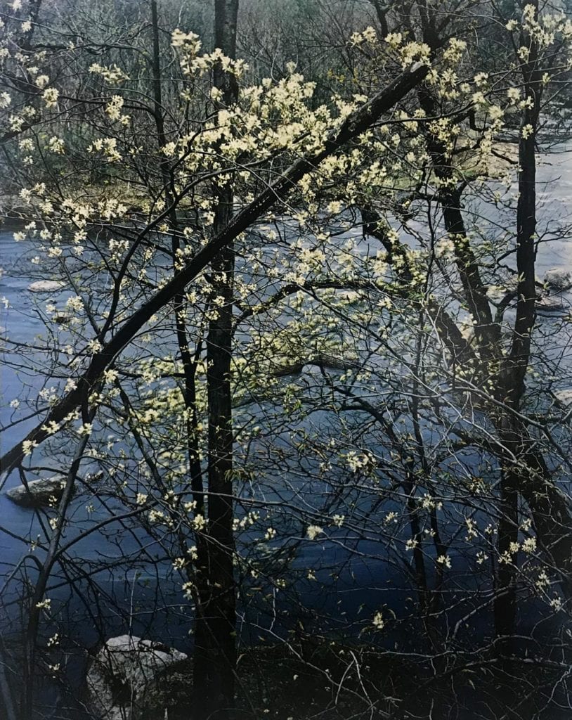 Eliot Porter Photography - Holden Luntz Gallery