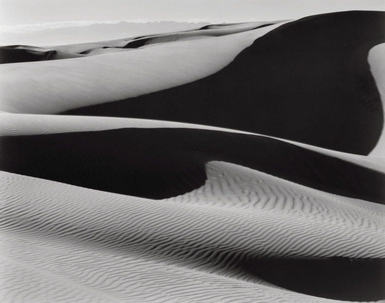 Edward Weston Photography - Holden Luntz Gallery