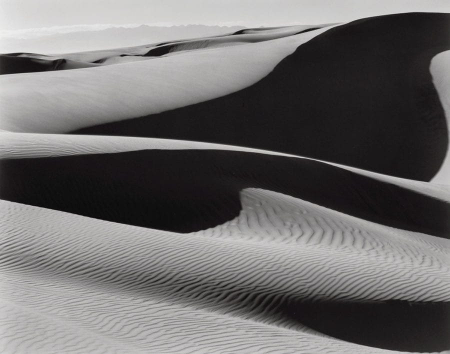 Edward Weston Photography - Holden Luntz Gallery