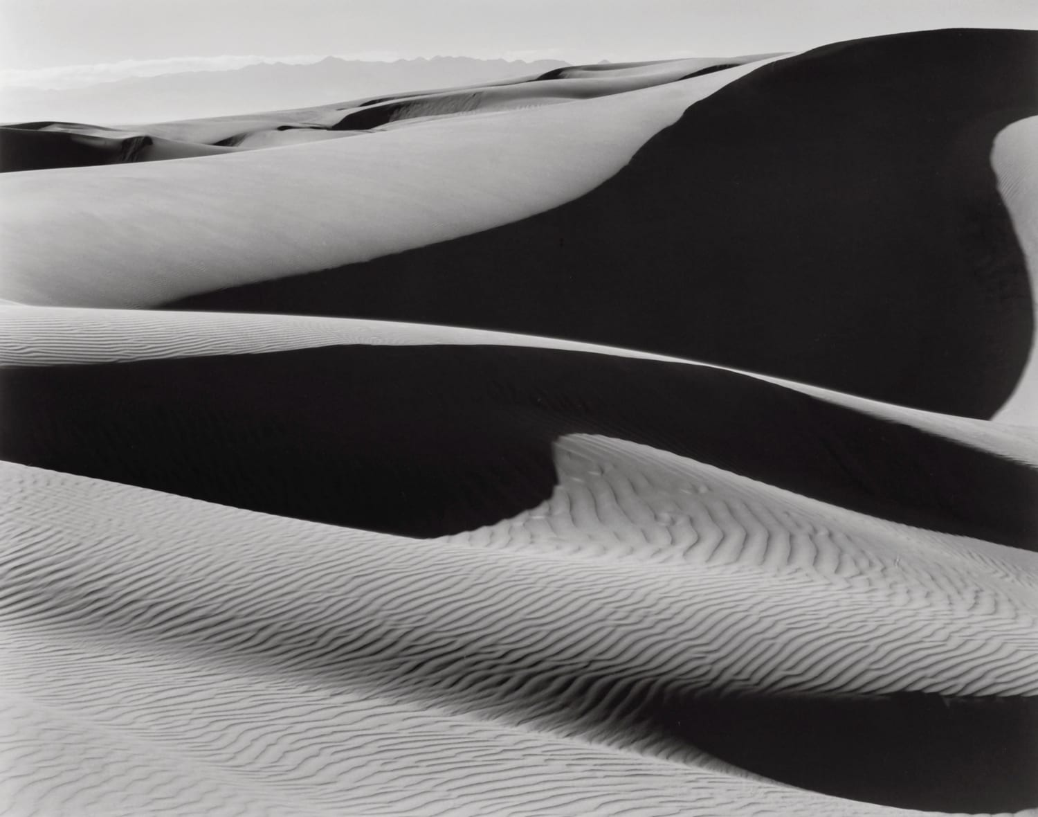Edward Weston Photography - Holden Luntz Gallery