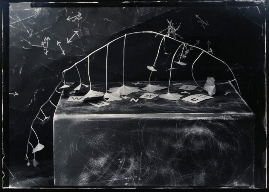 Vincent Serbin | Holden Luntz Gallery