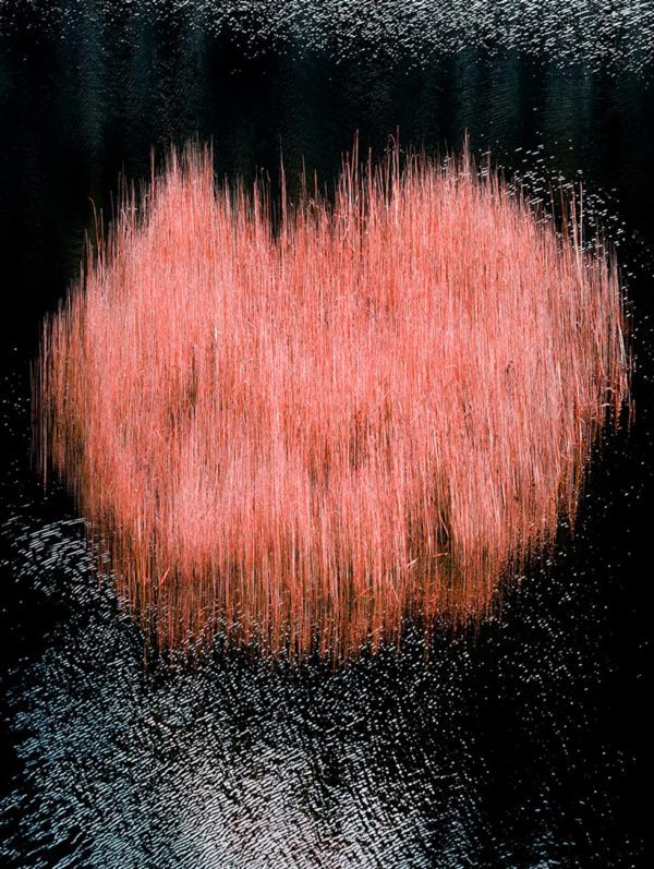 Albert Watson Photography - Page 4 of 4 - Holden Luntz Gallery