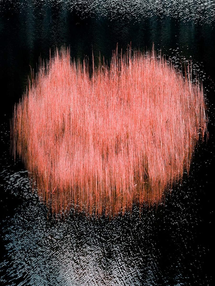 Albert Watson Photography - Page 4 of 4 - Holden Luntz Gallery