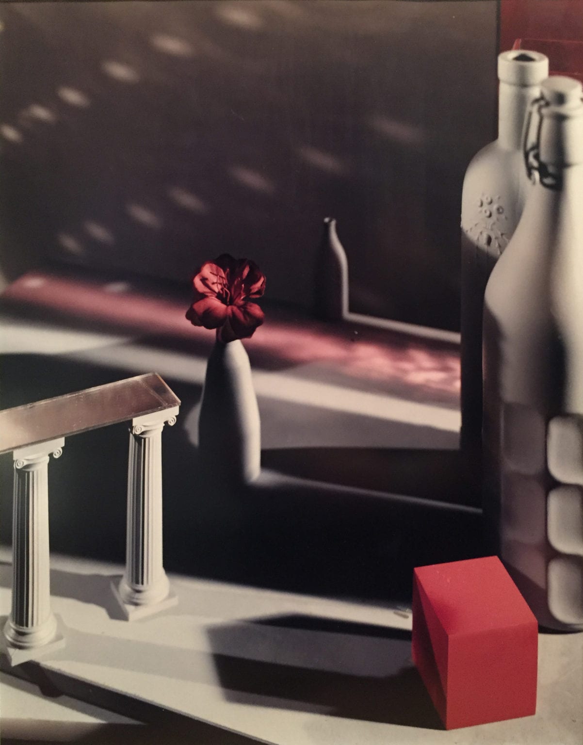 Jan Groover | Holden Luntz Gallery