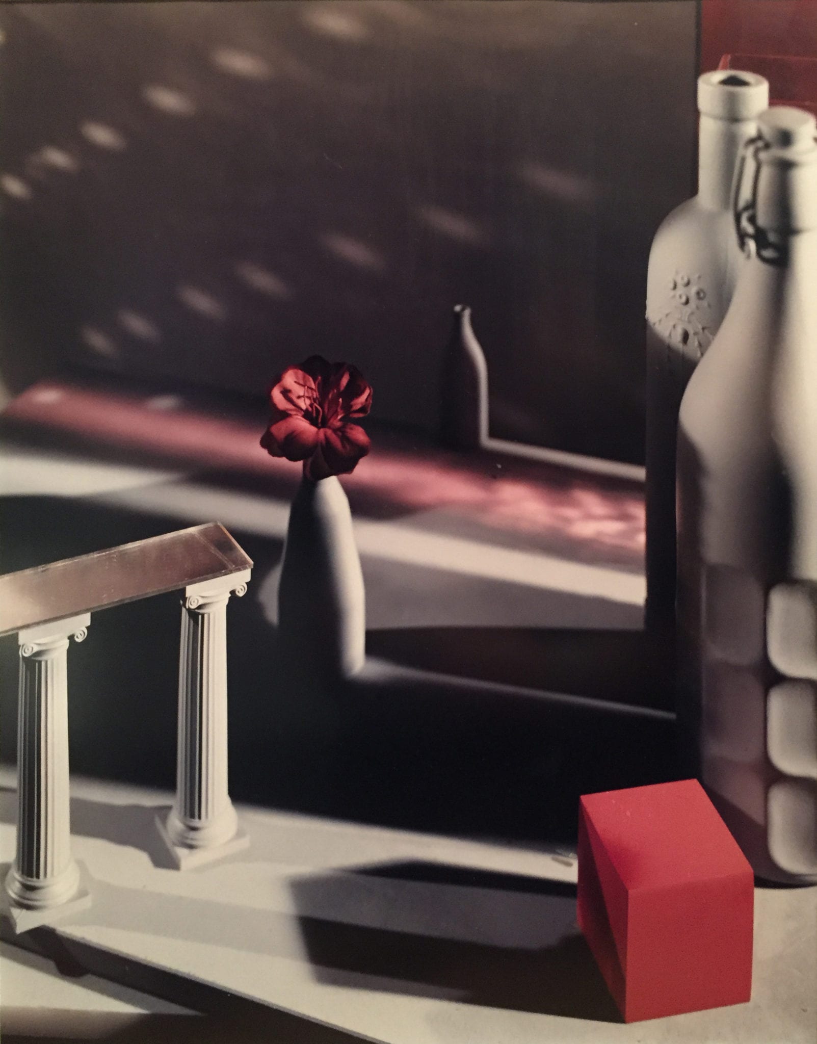 Jan Groover | Holden Luntz Gallery