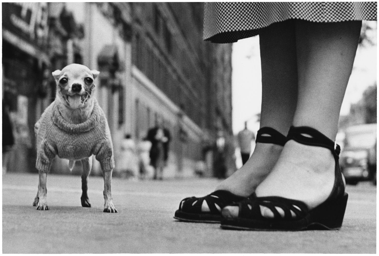 Elliott Erwitt | Holden Luntz Gallery