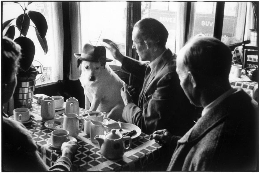 Elliott Erwitt Photography - Holden Luntz Gallery