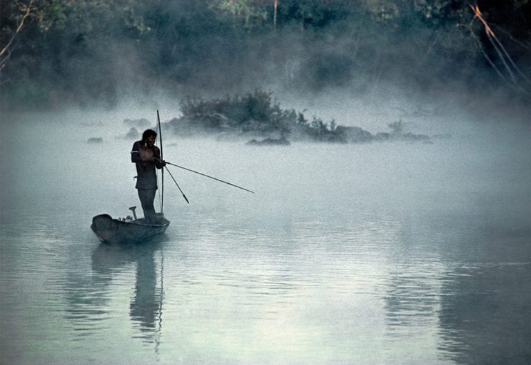 Simple Pleasures: Photographs for Those Who Feel Like a Fish Out of ...