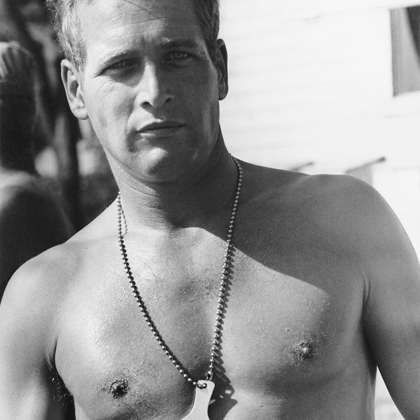 Paul Newman - Holden Luntz Gallery
