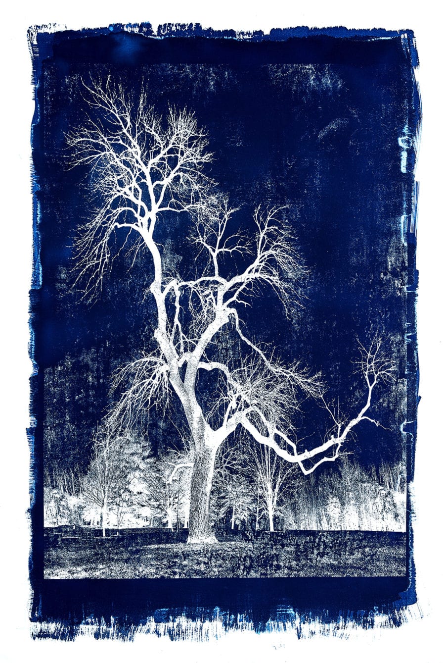 Michael Eastman Photography - Page 4 of 4 - Holden Luntz Gallery