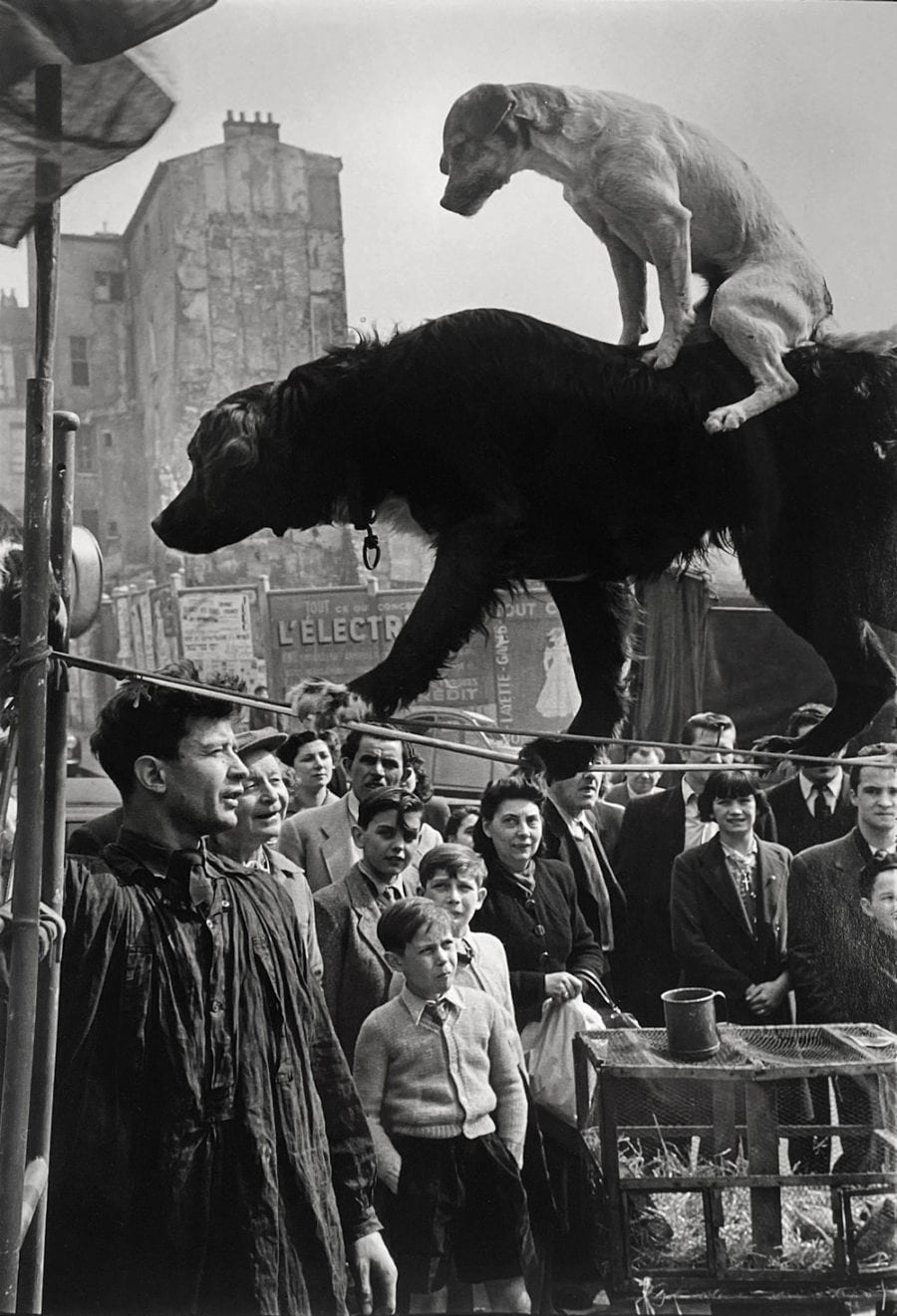 Simple Pleasures: Did You See What I Saw? - Holden Luntz Gallery